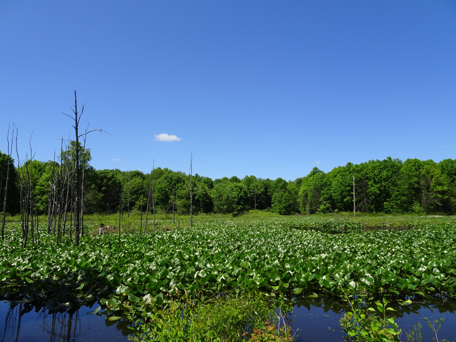 Green Construction: Solusi Ramah Lingkungan dengan Pemanfaatan Keramik Peredam Suara